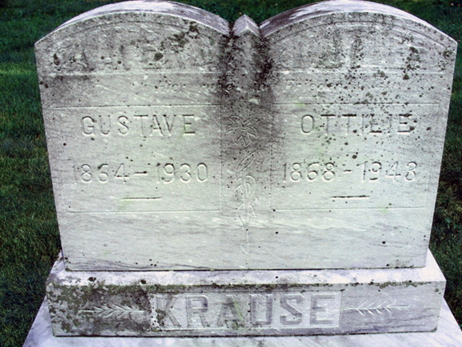 Lydia Krause's Instagram, Twitter & Facebook on IDCrawl